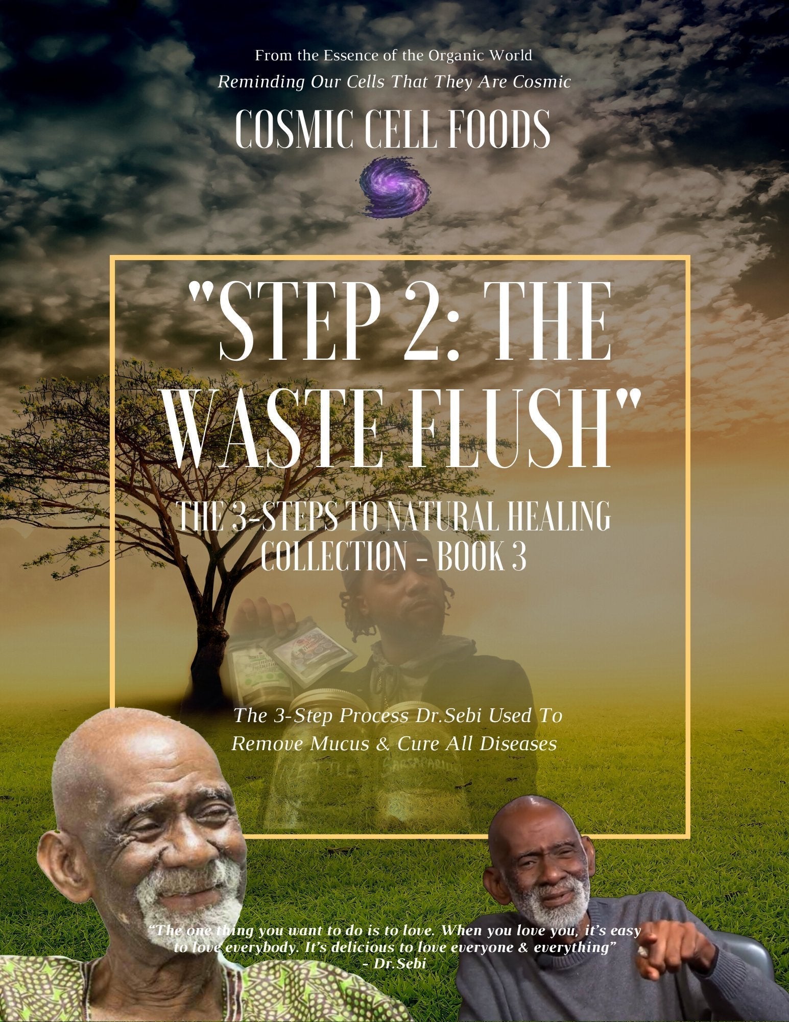[HOLIDAY SPECIAL] "Step 2:The Waste Flush" The 3-Steps To Healing Book ...